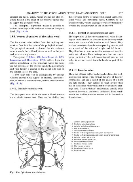 276 L. TATU ET AL. Fig. 1