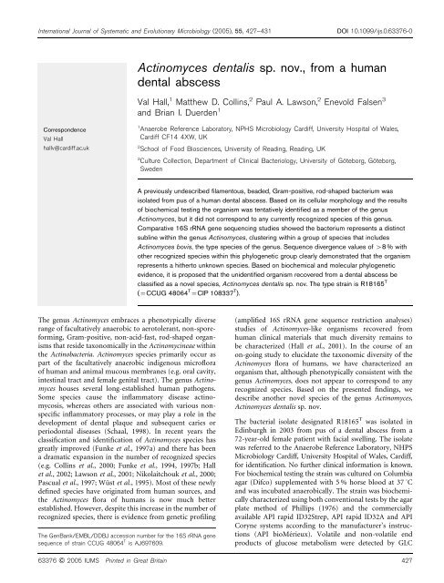 Actinomyces dentalis sp. nov., from a human dental abscess