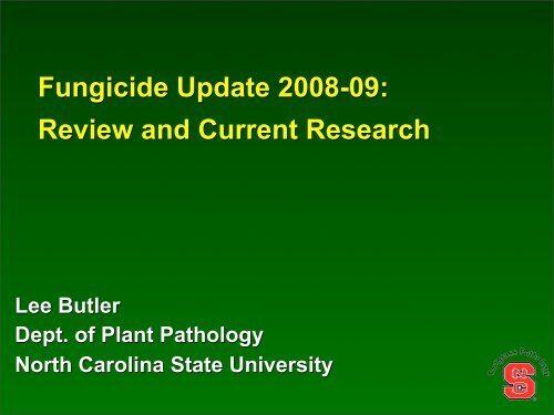 Gray Leaf Spot - TurfFiles - North Carolina State University