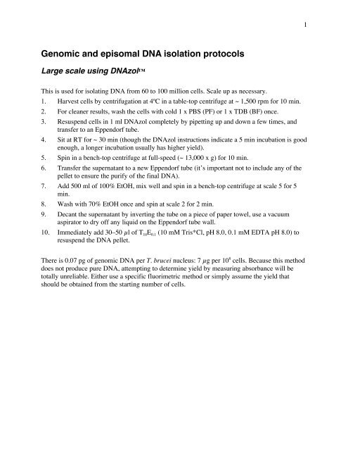 Genomic and episomal DNA isolation protocols