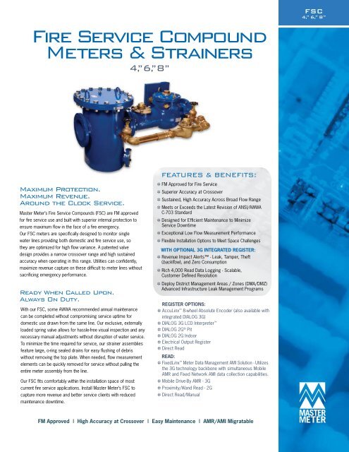 Fire Service Compound Meters & Strainers - Master Meter