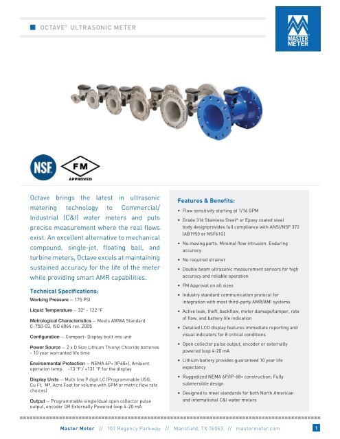 Octave brings the latest in ultrasonic metering ... - Master Meter
