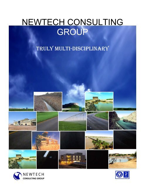 NEWTECH CONSULTING GROUP