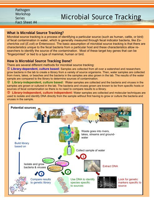 Microbial Source Tracking - MSU Center for Water Sciences