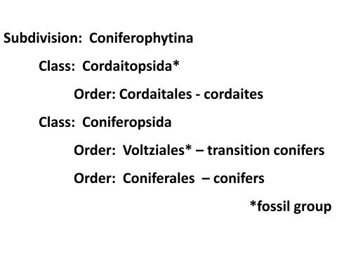 Subdivision: Coniferophytina Class: Cordaitopsida* Order ...