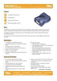 DS100 datasheet - TIBBO Technology