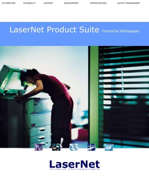 LaserNet Overlay - Phoenix-ICP GmbH