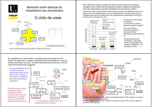 O ciclo da ureia