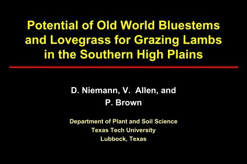 Dawn Nieman -- Woodsboro, Texas -- WW-B. Dahl grazing with sheep