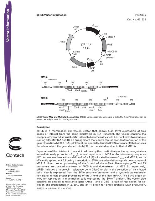 pIRES Vector Information - Gene Synthesis