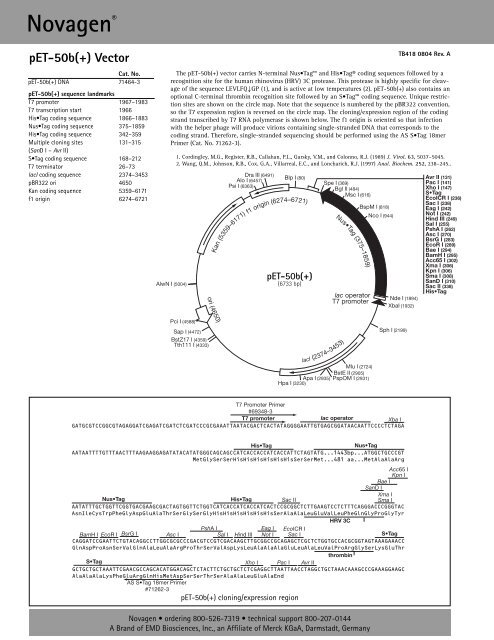 TB418 pET-50b(+) Vector - Gene Synthesis