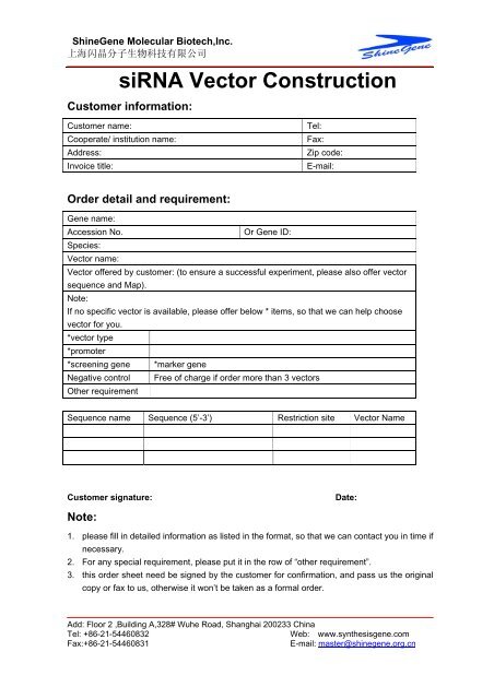 shRNA Vector Construct-siRNA expression vector - Gene Synthesis