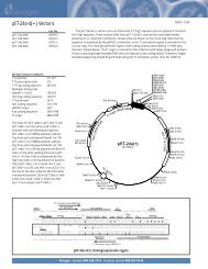 pET-28a-c(+) Vectors