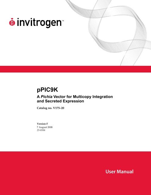 pPIC9K - Gene Synthesis