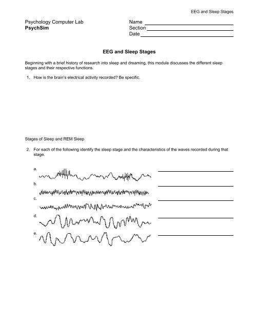 EEG and Sleep Stages
