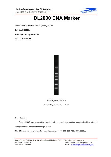 DL2000 DNA Marker-DNA Ladder - Gene Synthesis