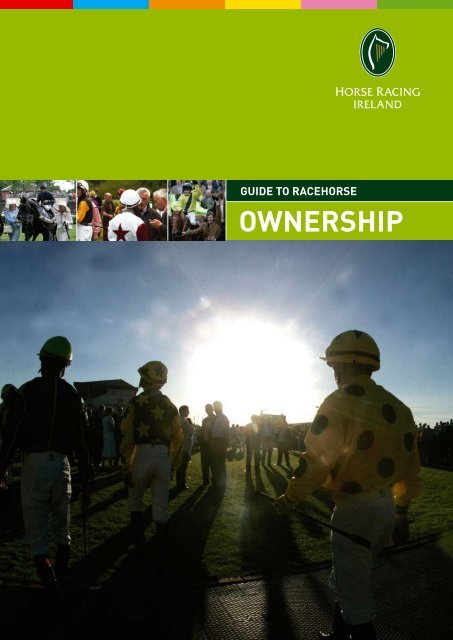 Guide To Racehorse Ownership - Horse Racing Ireland