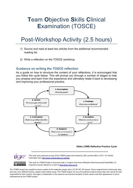 (TOSCE) Post-Workshop Activity