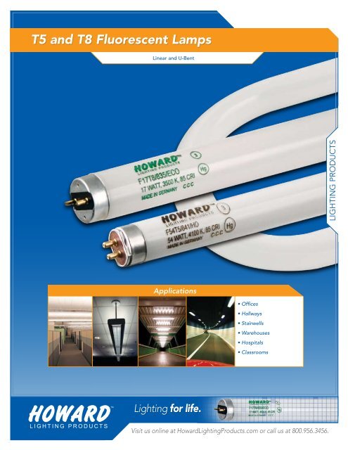T5 and T8 Fluorescent Lamps