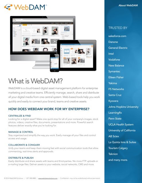 What is WebDAM?