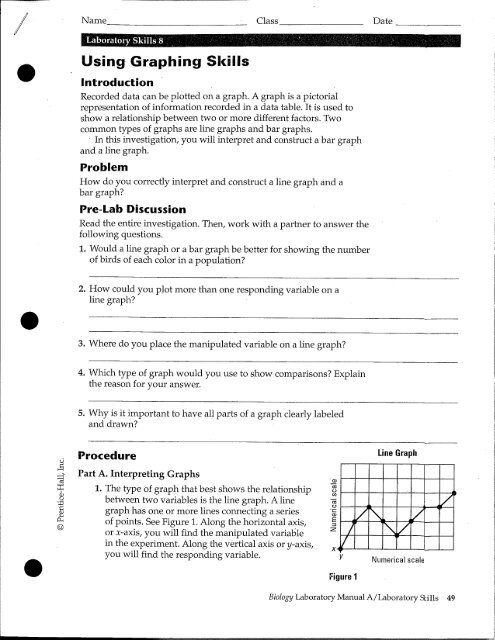 Using Graphing Skills