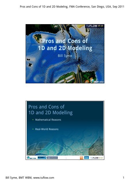 Pros and Cons of 1D and 2D Modeling - TUFLOW