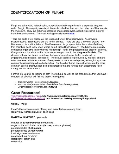 Identification of Fungi