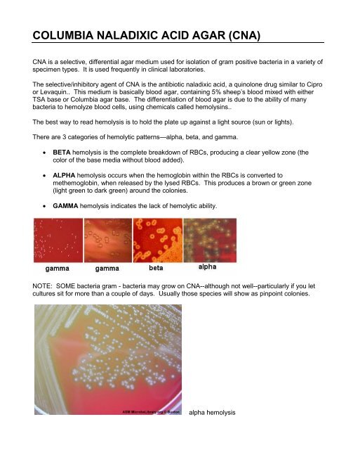 COLUMBIA NALADIXIC ACID AGAR (CNA)