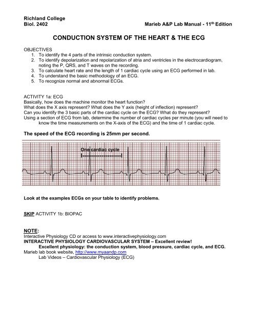 CONDUCTION SYSTEM OF THE HEART & THE ECG