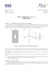 tp diffraction cheveu