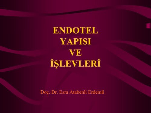 Endotel YapÄ±sÄ± ve Ä°Å levleri