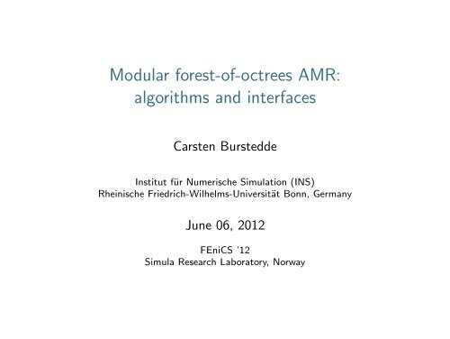 Modular Forest Of Octrees Amr Algorithms And Fenics Project