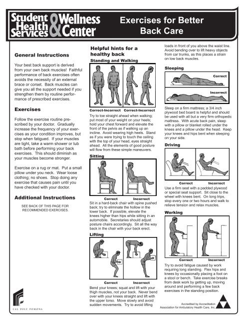 Exercises for Better Back Care