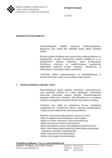 Raporttiohje (PDF)