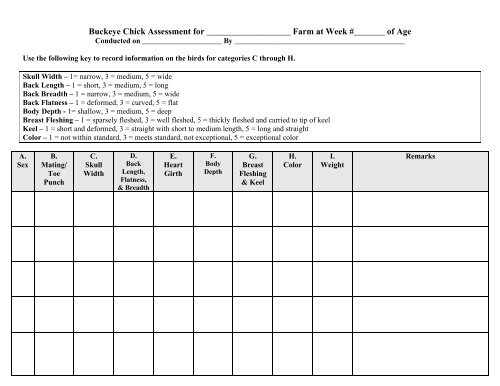 Chick Assessment Form