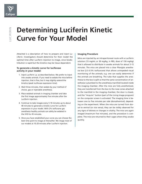 Determining Luciferin Kinetic Curve for Your Model - PerkinElmer