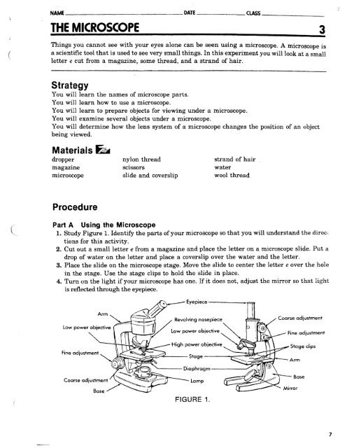 Microscope Worksheet