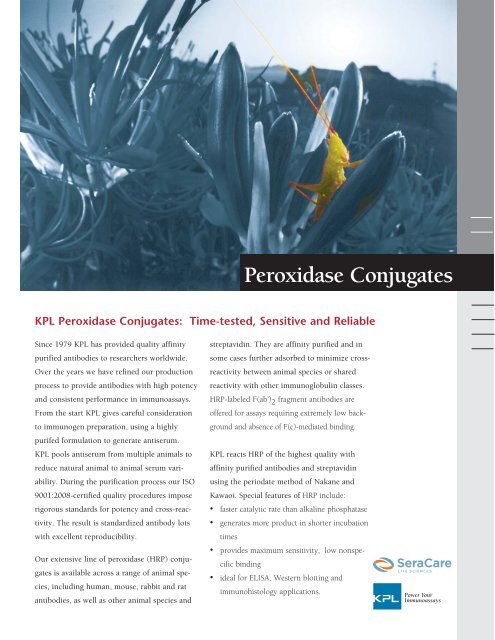 Peroxidase Conjugates Flyer - KPL
