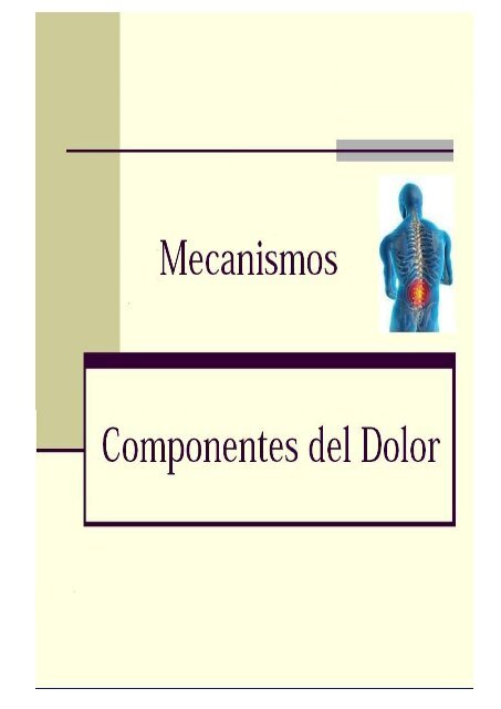 MECANISMOS Y COMPONENTES DEL DOLOR