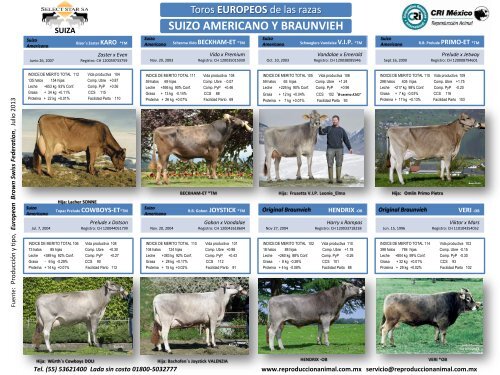 Swiss Brown cattle BreedersÂ´s Federation