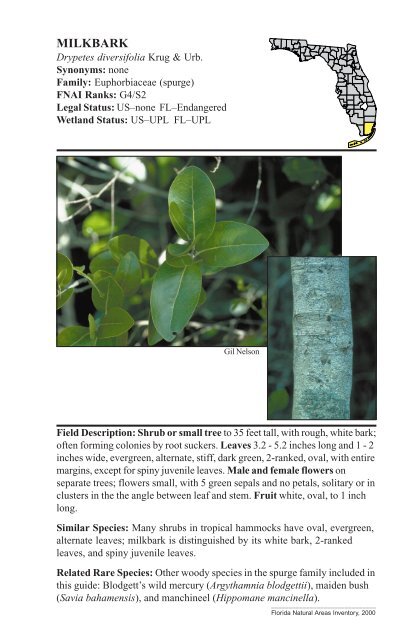 MILKBARK - Florida Natural Areas Inventory