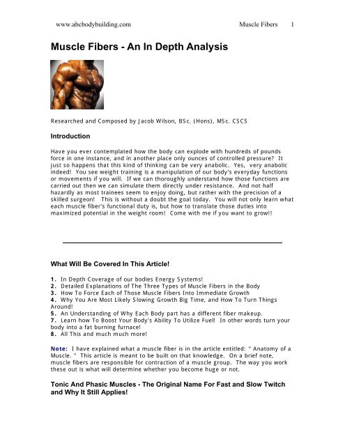 Muscle Fibers - An In Depth Analysis - ABC Bodybuilding
