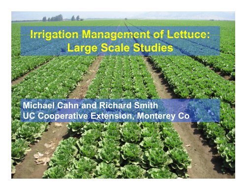 Water Management of Lettuce Field Scale Studies, Michael Cahn