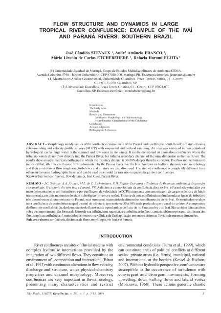 Flow Structure And Dynamics In Large Tropical River Confluence Unesp