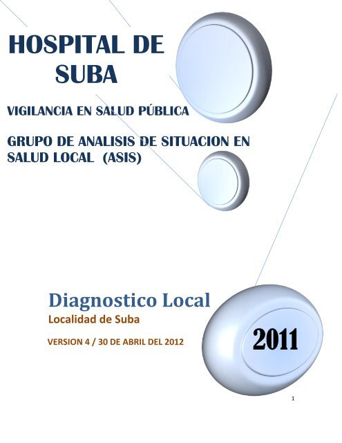 Diagnostico Local - Hospital Suba