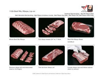 Intercostal Magazines