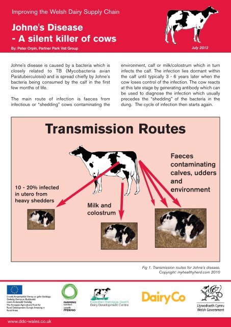 Johne's disease - Dairy Development Centre