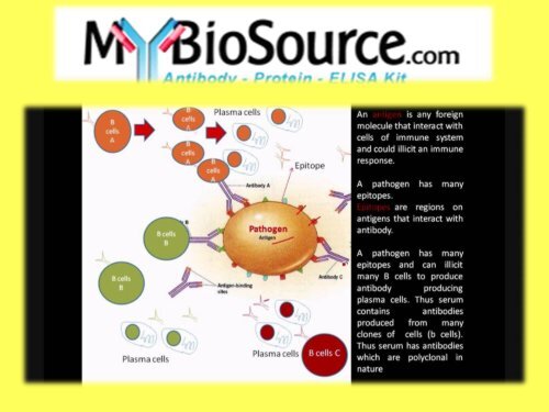 Welcome to MyBioSource