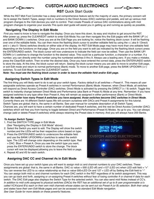 Download Guide Here - Custom Audio Electronics