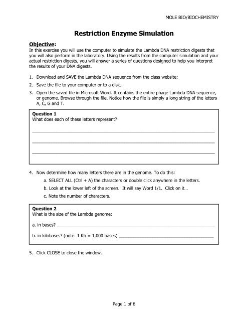 Restriction Enzyme Simulation